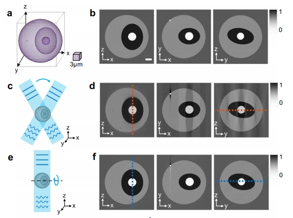 AI-driven projection tomography with multicore fibre-optic cell ...